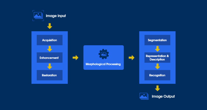 How Image Processing Techniques Can Transform Your Photos?